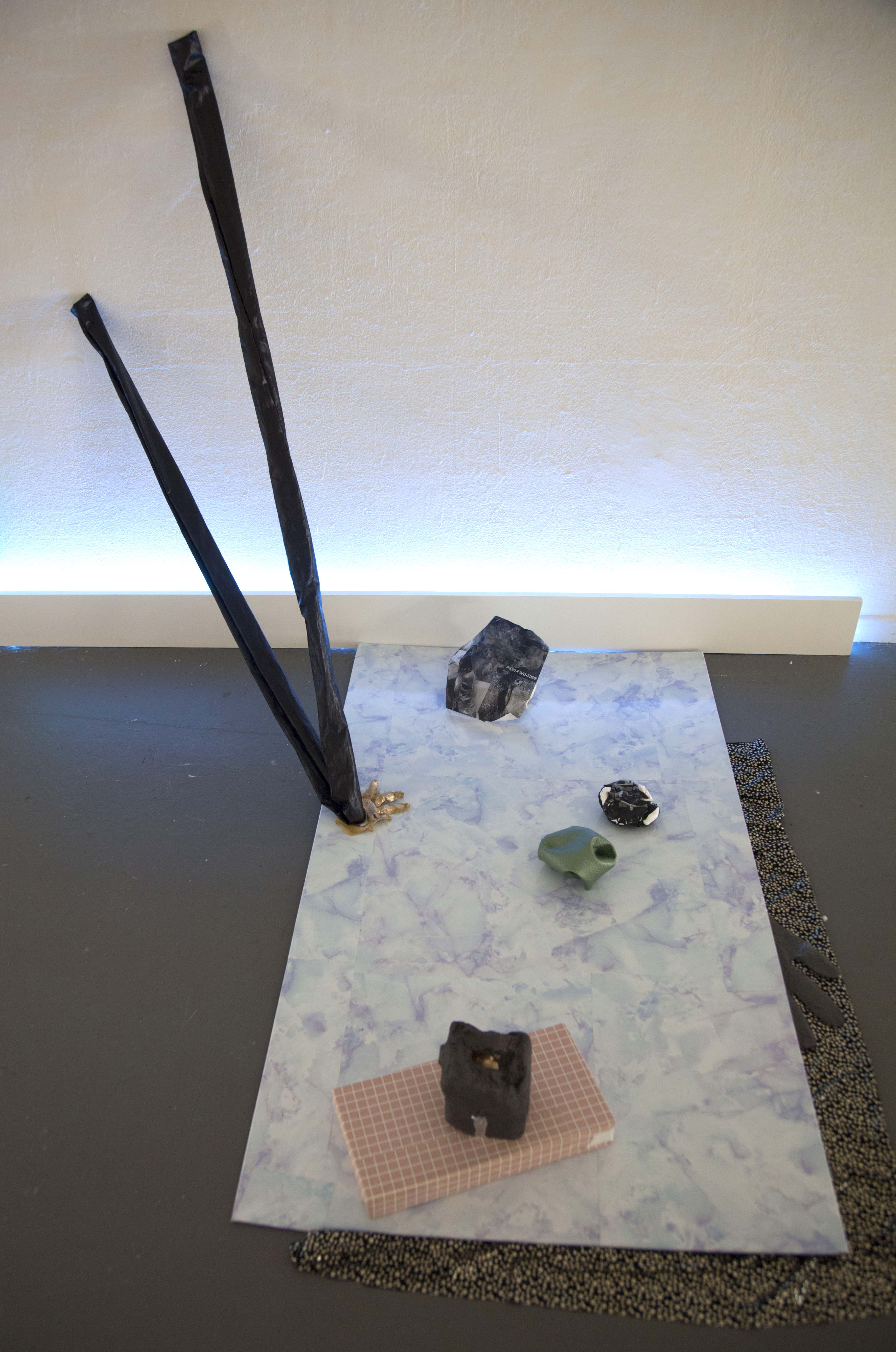 Sarah Nowicki - Para-site | VAULT