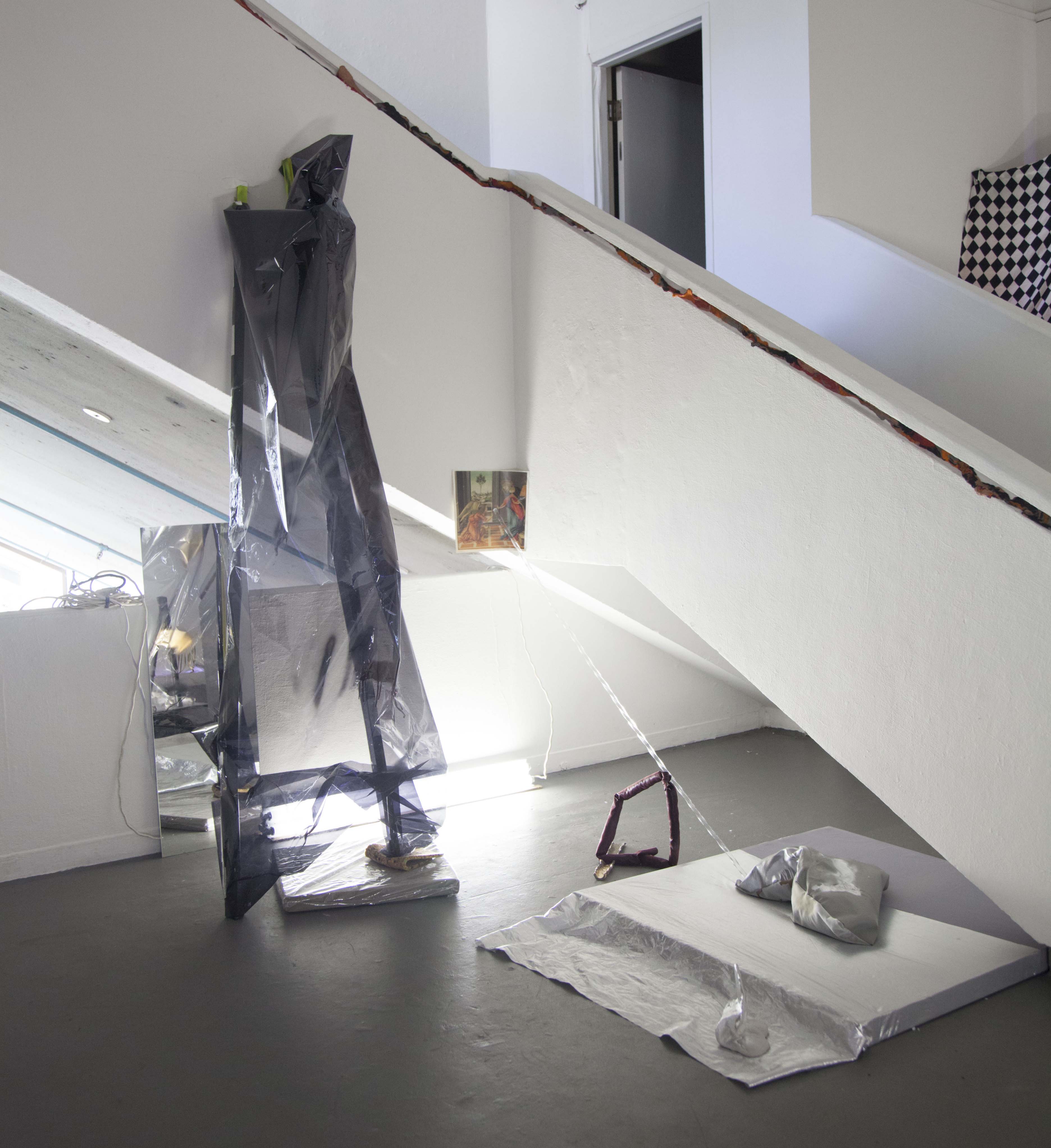 Sarah Nowicki - Para-site | VAULT